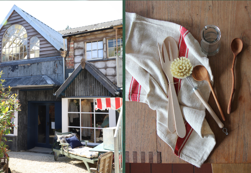 Introducing the Domestic Science Journal – Domestic Science Home