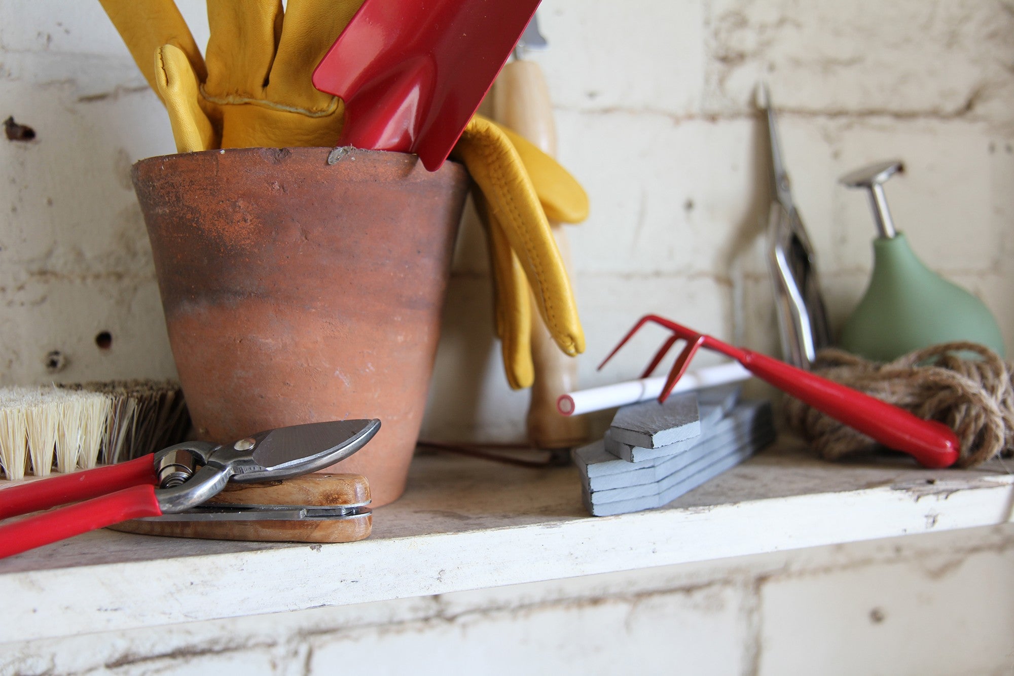 Autumnal Arrivals – Domestic Science Home